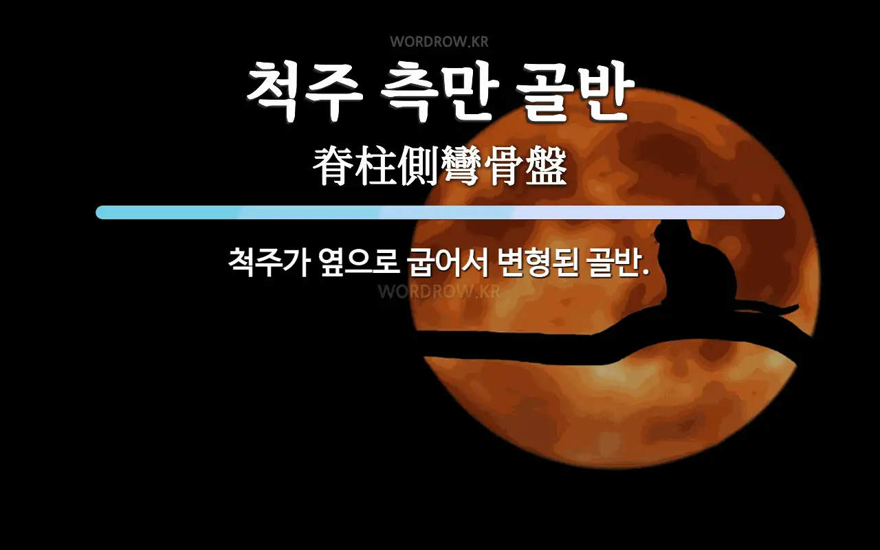 척주 측만 골반 뜻 척주가 옆으로 굽어서 변형된 골반
