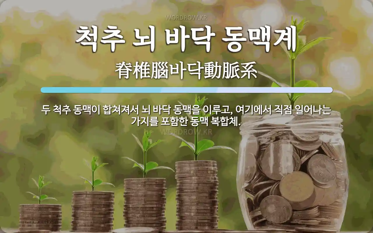 척추 뇌 바닥 동맥계 뜻 두 척추 동맥이 합쳐져서 뇌 바닥 동맥을 이루고 여기에서 직접 일어나는 가지를 포함한 동