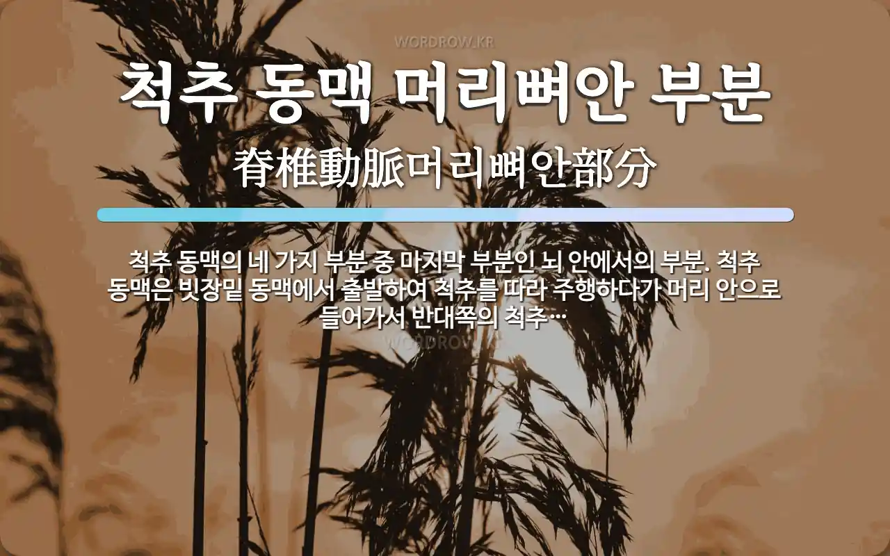 척추 동맥 머리뼈안 부분 뜻 척추 동맥의 네 가지 부분 중 마지막 부분인 뇌 안에서의 부분 척추 동맥은 빗장밑 동맥에