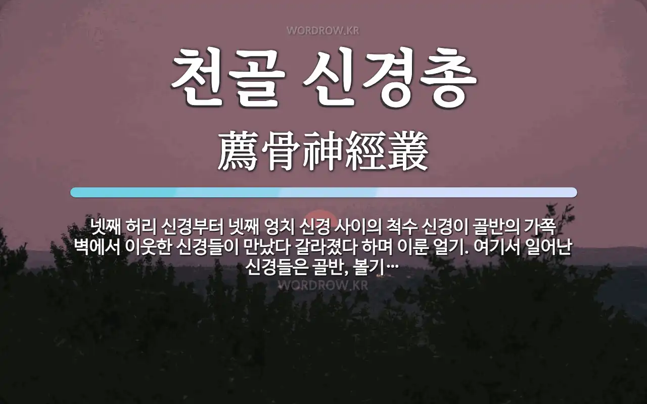천골 신경총 뜻 넷째 허리 신경부터 넷째 엉치 신경 사이의 척수 신경이 골반의 가쪽 벽에서 이웃한 신경들이