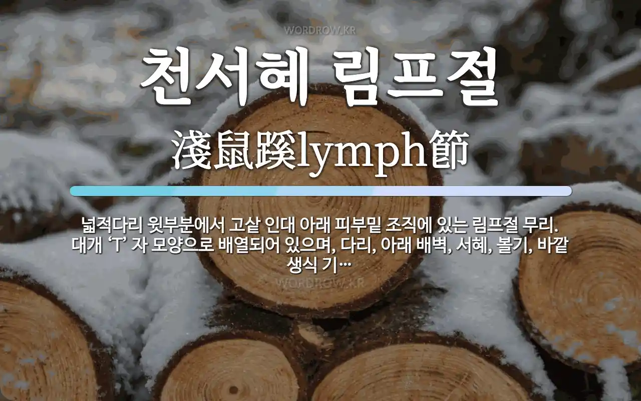 천서혜 림프절 뜻 넓적다리 윗부분에서 고샅 인대 아래 피부밑 조직에 있는 림프절 무리 대개 ‘t 자 모양
