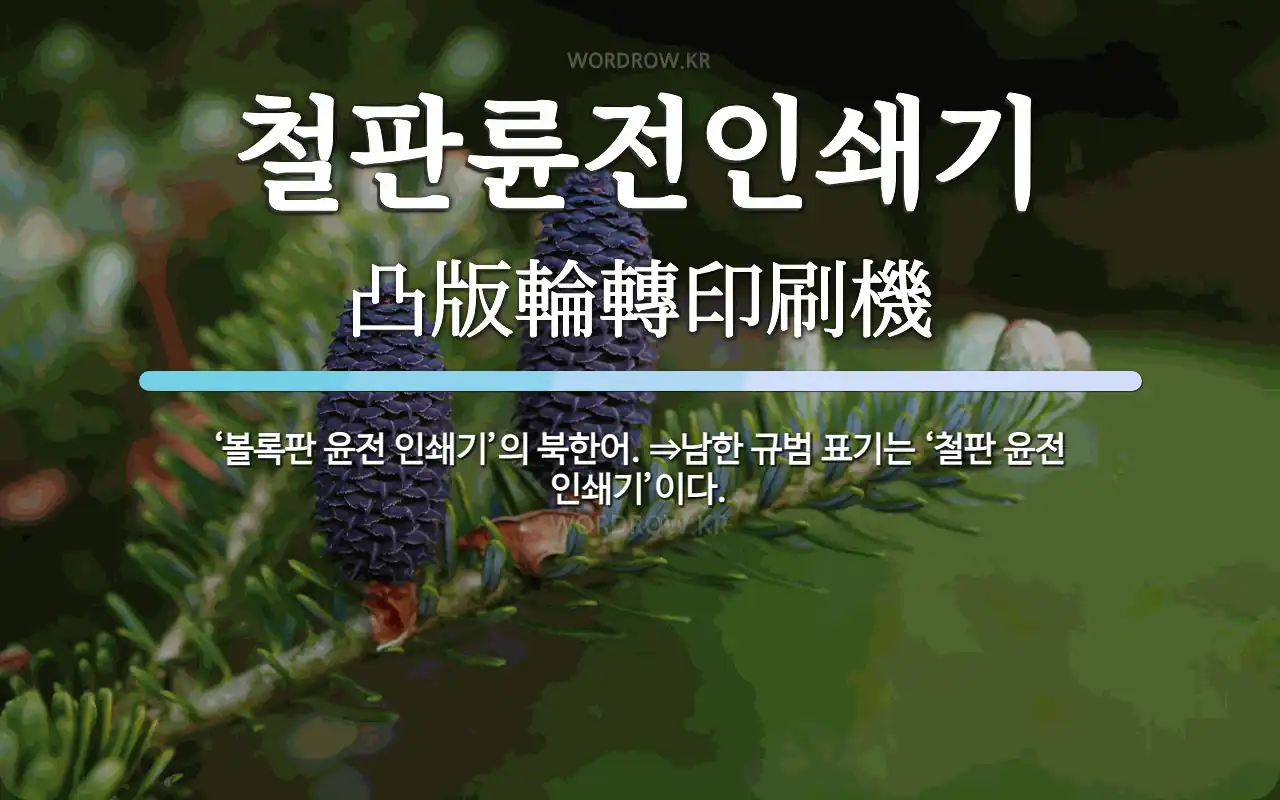 철판륜전인쇄기 뜻 ‘볼록판 윤전 인쇄기의 북한어 ⇒남한 규범 표기는 ‘철판 윤전 인쇄기이다