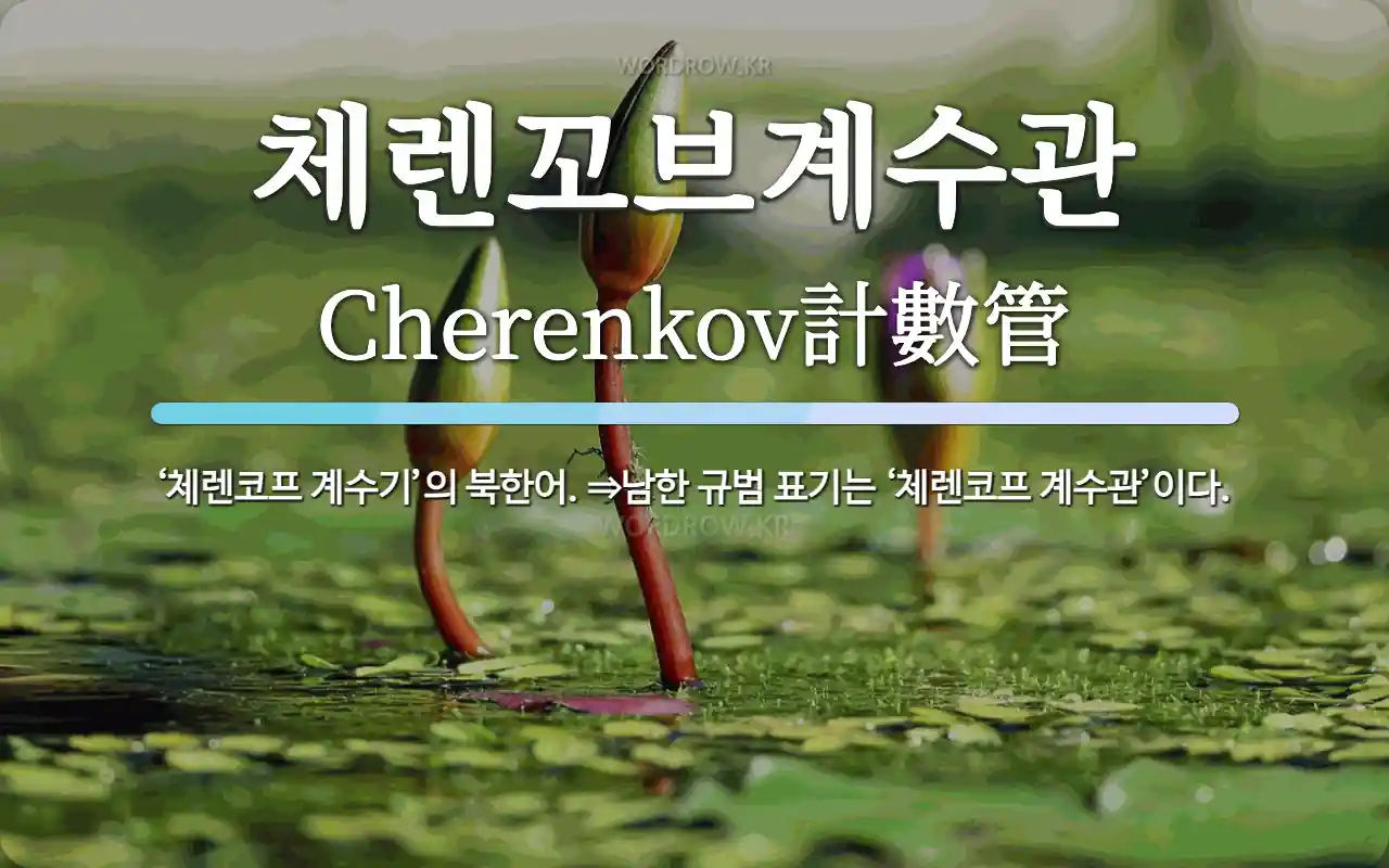 체렌꼬브계수관 뜻 ‘체렌코프 계수기의 북한어 ⇒남한 규범 표기는 ‘체렌코프 계수관이다
