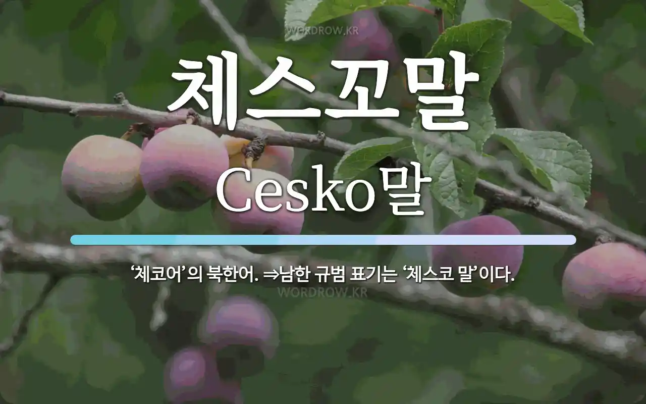 체스꼬말 뜻 ‘체코어의 북한어 ⇒남한 규범 표기는 ‘체스코 말이다