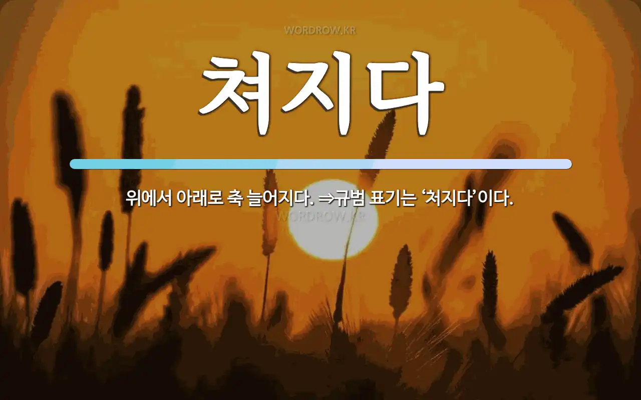 쳐지다 뜻 위에서 아래로 축 늘어지다 ⇒규범 표기는 ‘처지다이다