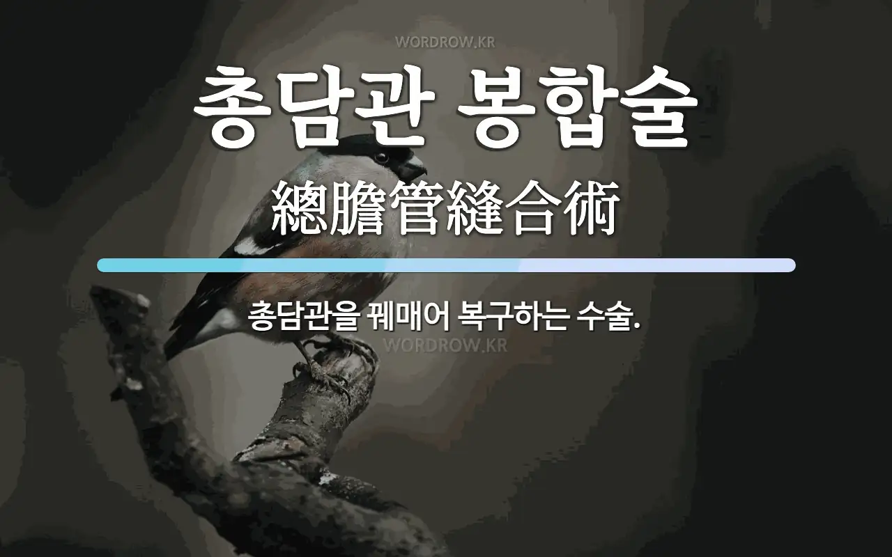총담관 봉합술 뜻 총담관을 꿰매어 복구하는 수술