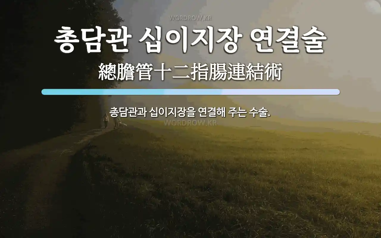 총담관 십이지장 연결술 뜻 총담관과 십이지장을 연결해 주는 수술