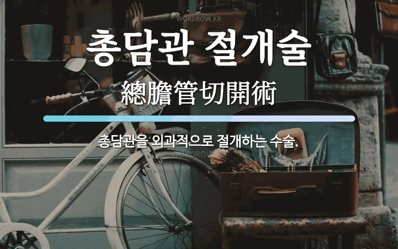 총담관 절개술 뜻 총담관을 외과적으로 절개하는 수술