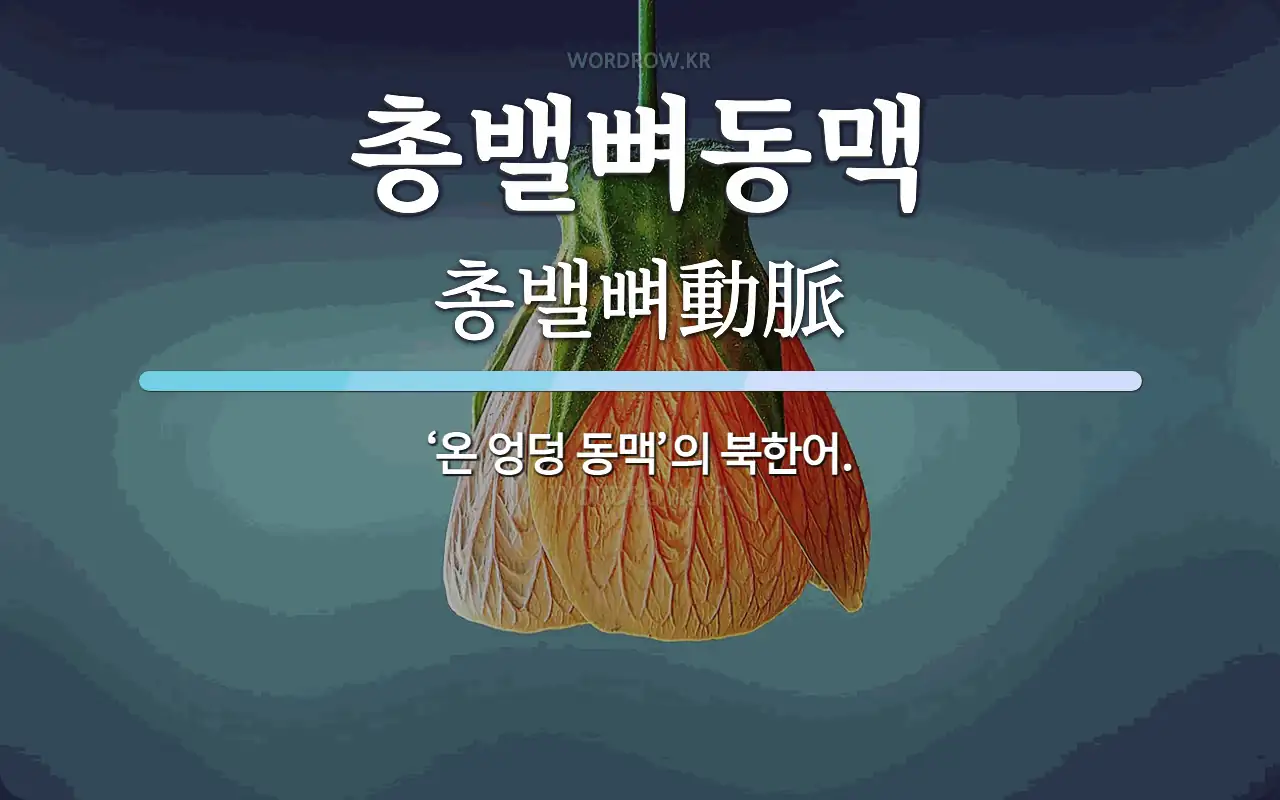 총밸뼈동맥 뜻 ‘온 엉덩 동맥의 북한어
