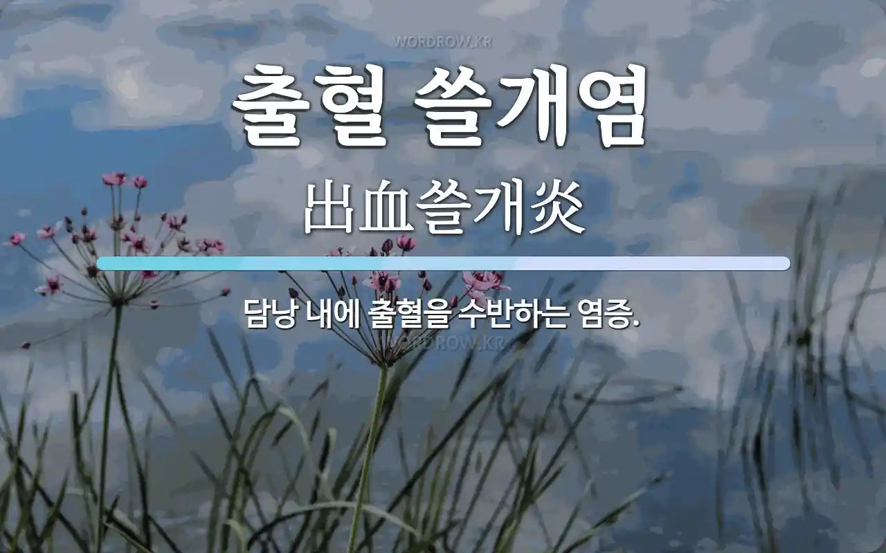 출혈 쓸개염 뜻 담낭 내에 출혈을 수반하는 염증
