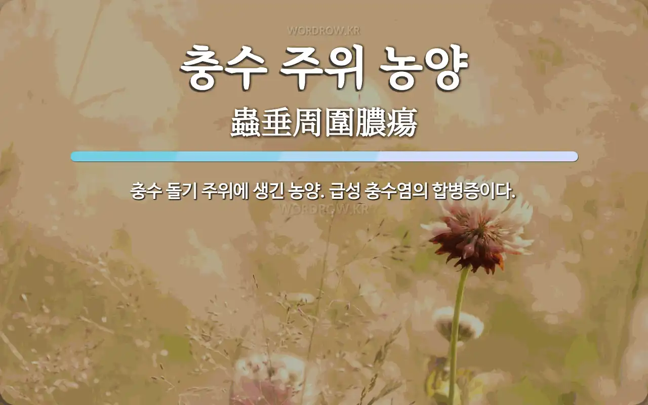 충수 주위 농양 뜻 충수 돌기 주위에 생긴 농양 급성 충수염의 합병증이다