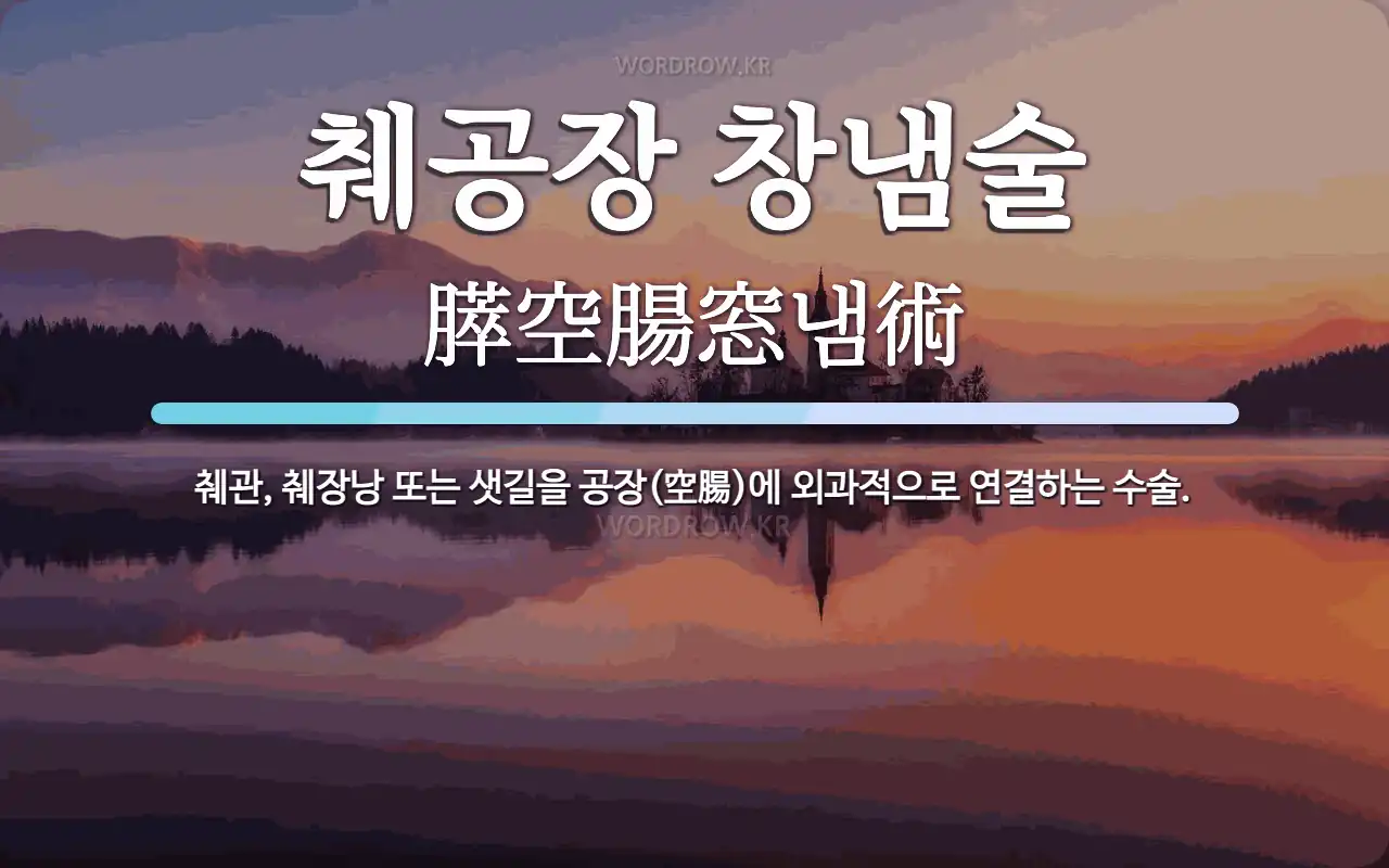 췌공장 창냄술 뜻 췌관 췌장낭 또는 샛길을 공장空腸에 외과적으로 연결하는 수술