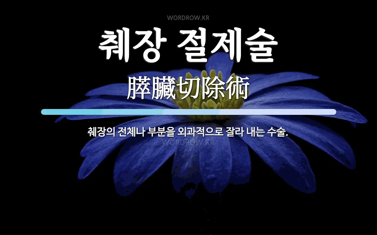 췌장 절제술 뜻 췌장의 전체나 부분을 외과적으로 잘라 내는 수술