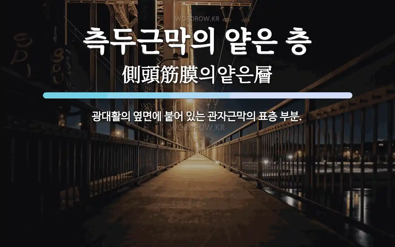 측두근막의 얕은 층 뜻 광대활의 옆면에 붙어 있는 관자근막의 표층 부분