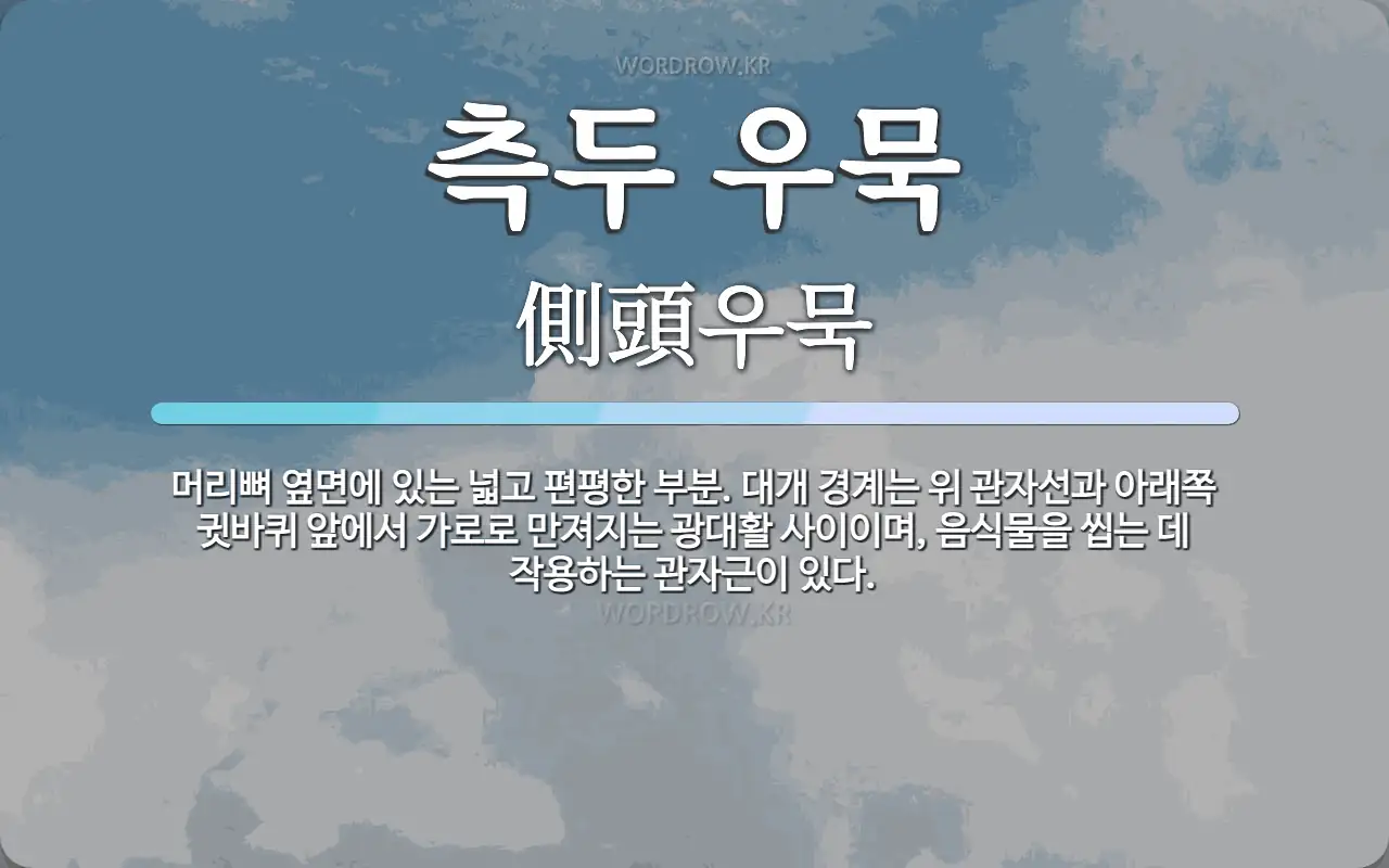 측두 우묵 뜻 머리뼈 옆면에 있는 넓고 편평한 부분 대개 경계는 위 관자선과 아래쪽 귓바퀴 앞에서 가로