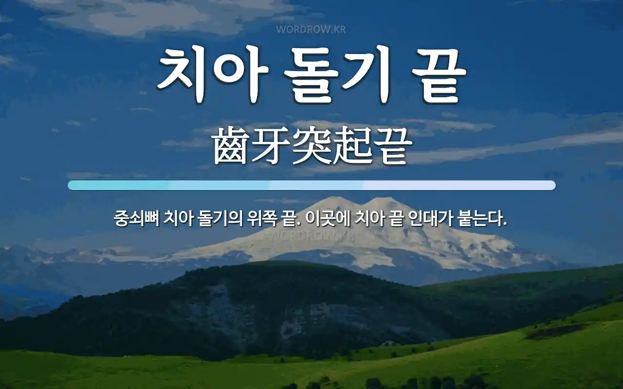 치아 돌기 끝 뜻 중쇠뼈 치아 돌기의 위쪽 끝 이곳에 치아 끝 인대가 붙는다