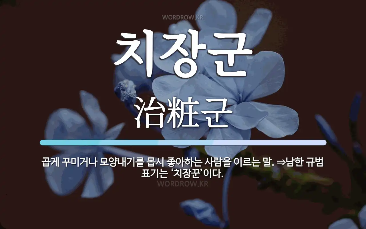 치장군 뜻 곱게 꾸미거나 모양내기를 몹시 좋아하는 사람을 이르는 말 ⇒남한 규범 표기는 ‘치장꾼이