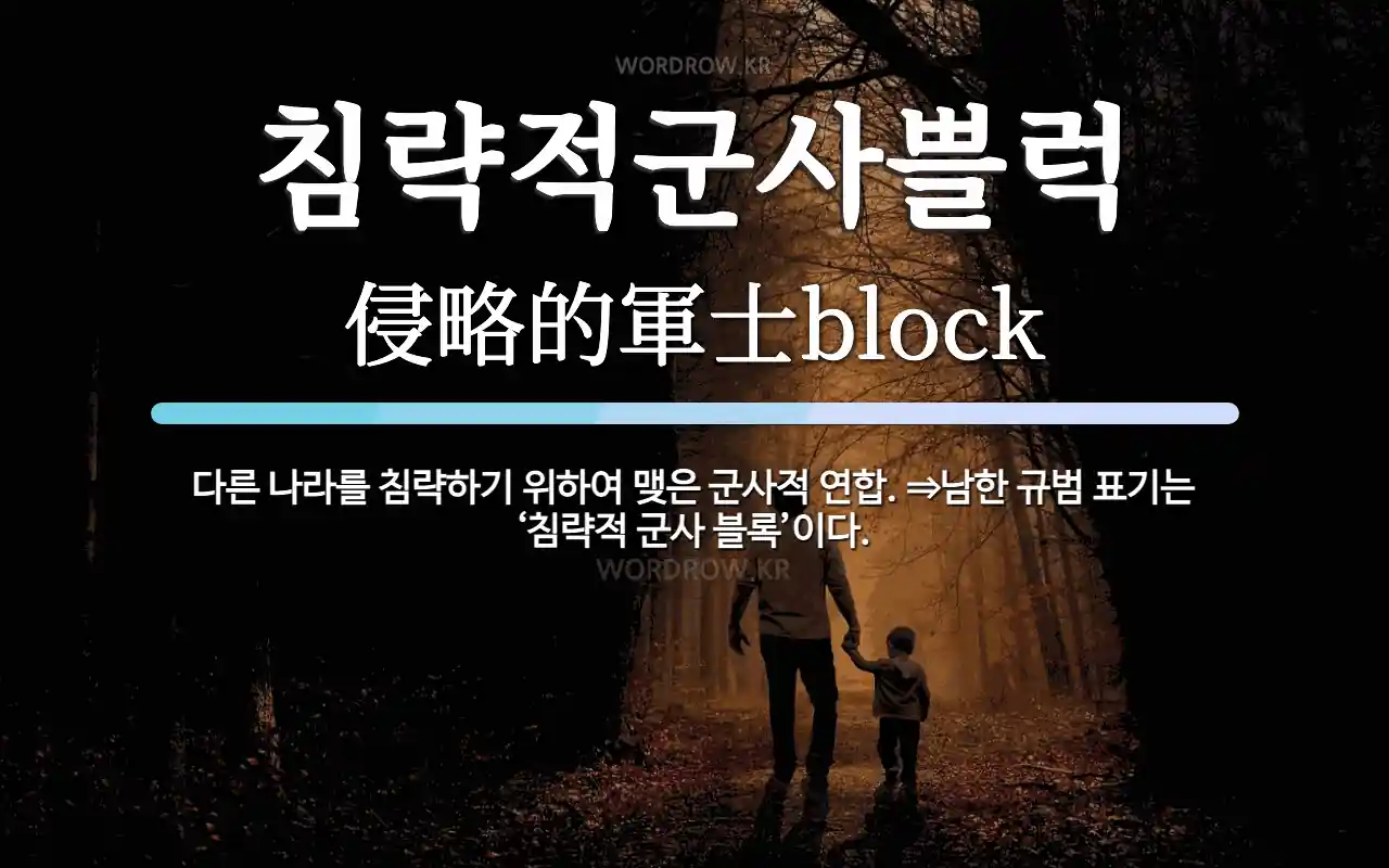 침략적군사쁠럭 뜻 다른 나라를 침략하기 위하여 맺은 군사적 연합 ⇒남한 규범 표기는 ‘침략적 군사 블록이