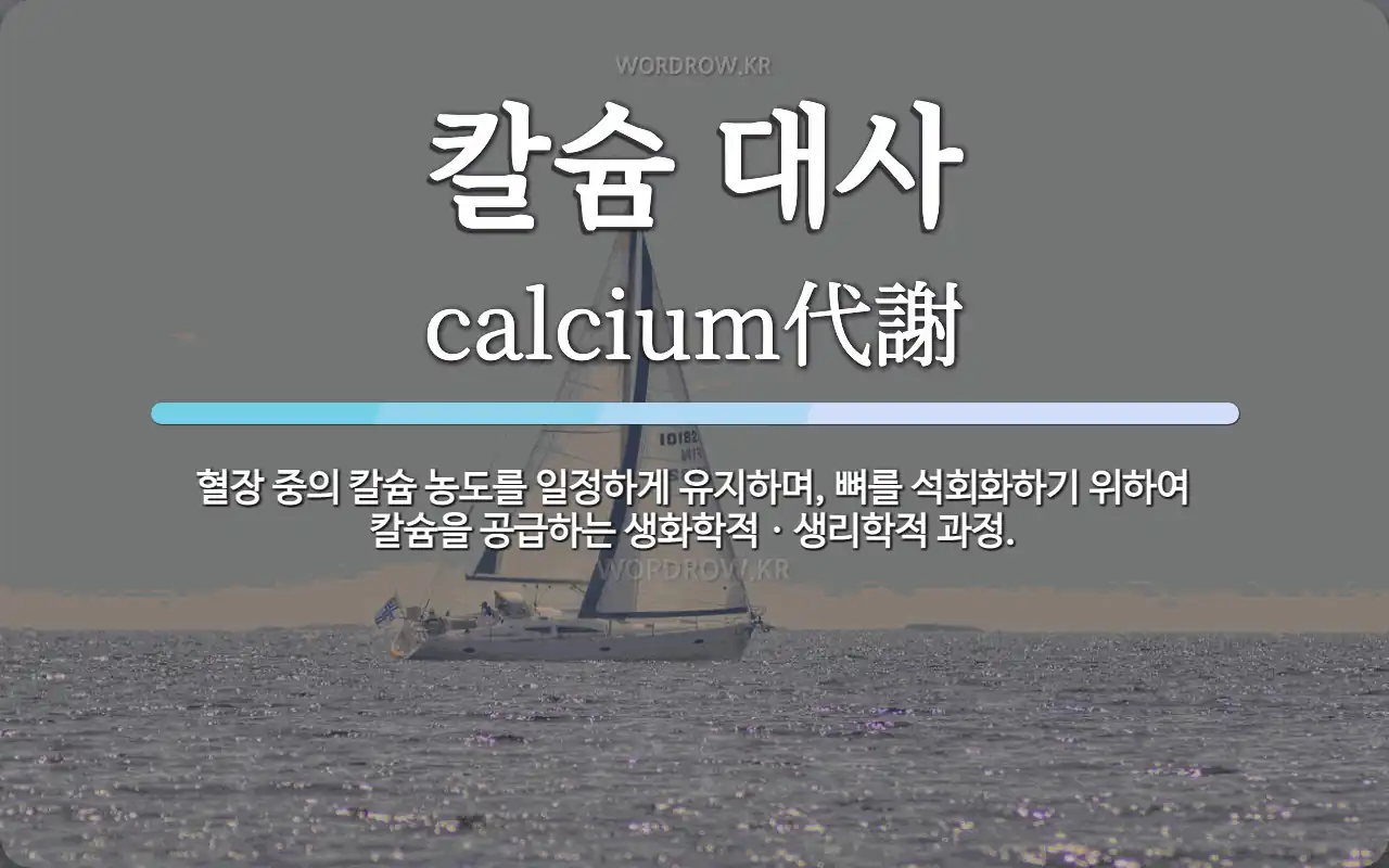 칼슘 대사 뜻 혈장 중의 칼슘 농도를 일정하게 유지하며 뼈를 석회화하기 위하여 칼슘을 공급하는 생화학적