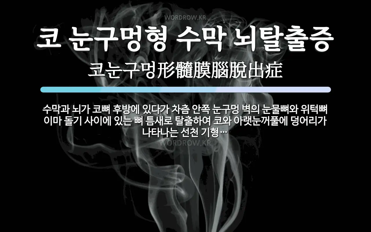 코 눈구멍형 수막 뇌탈출증 뜻 수막과 뇌가 코뼈 후방에 있다가 차츰 안쪽 눈구멍 벽의 눈물뼈와 위턱뼈 이마 돌기 사이에