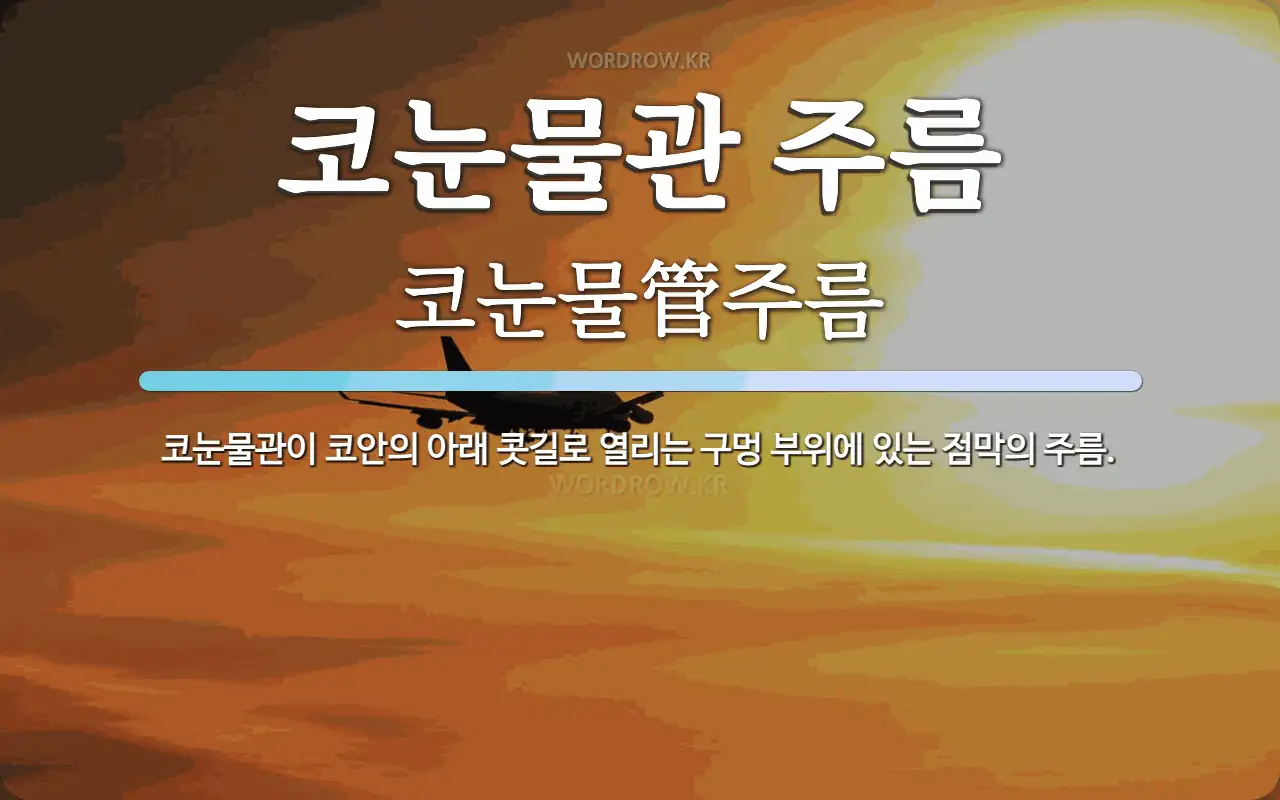 코눈물관 주름 뜻 코눈물관이 코안의 아래 콧길로 열리는 구멍 부위에 있는 점막의 주름