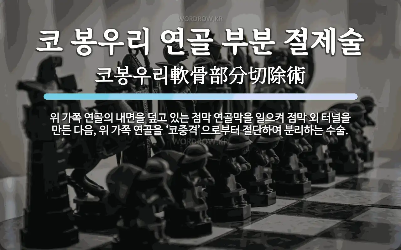 코 봉우리 연골 부분 절제술 뜻 위 가쪽 연골의 내면을 덮고 있는 점막 연골막을 일으켜 점막 외 터널을 만든 다음 위 가