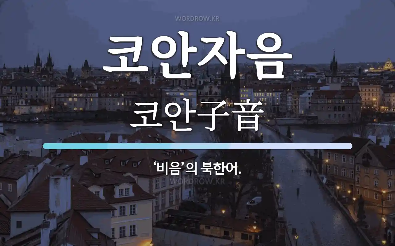 코안자음 뜻 ‘비음의 북한어