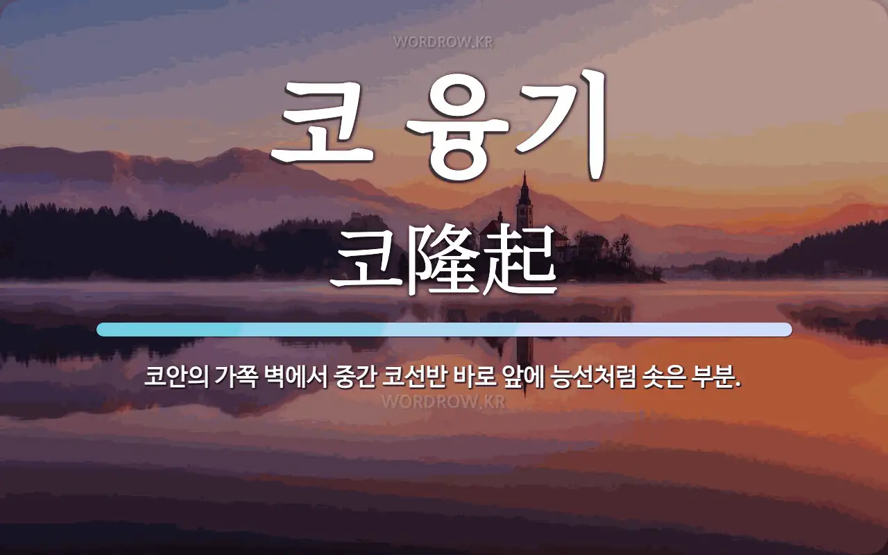 코 융기 뜻 코안의 가쪽 벽에서 중간 코선반 바로 앞에 능선처럼 솟은 부분