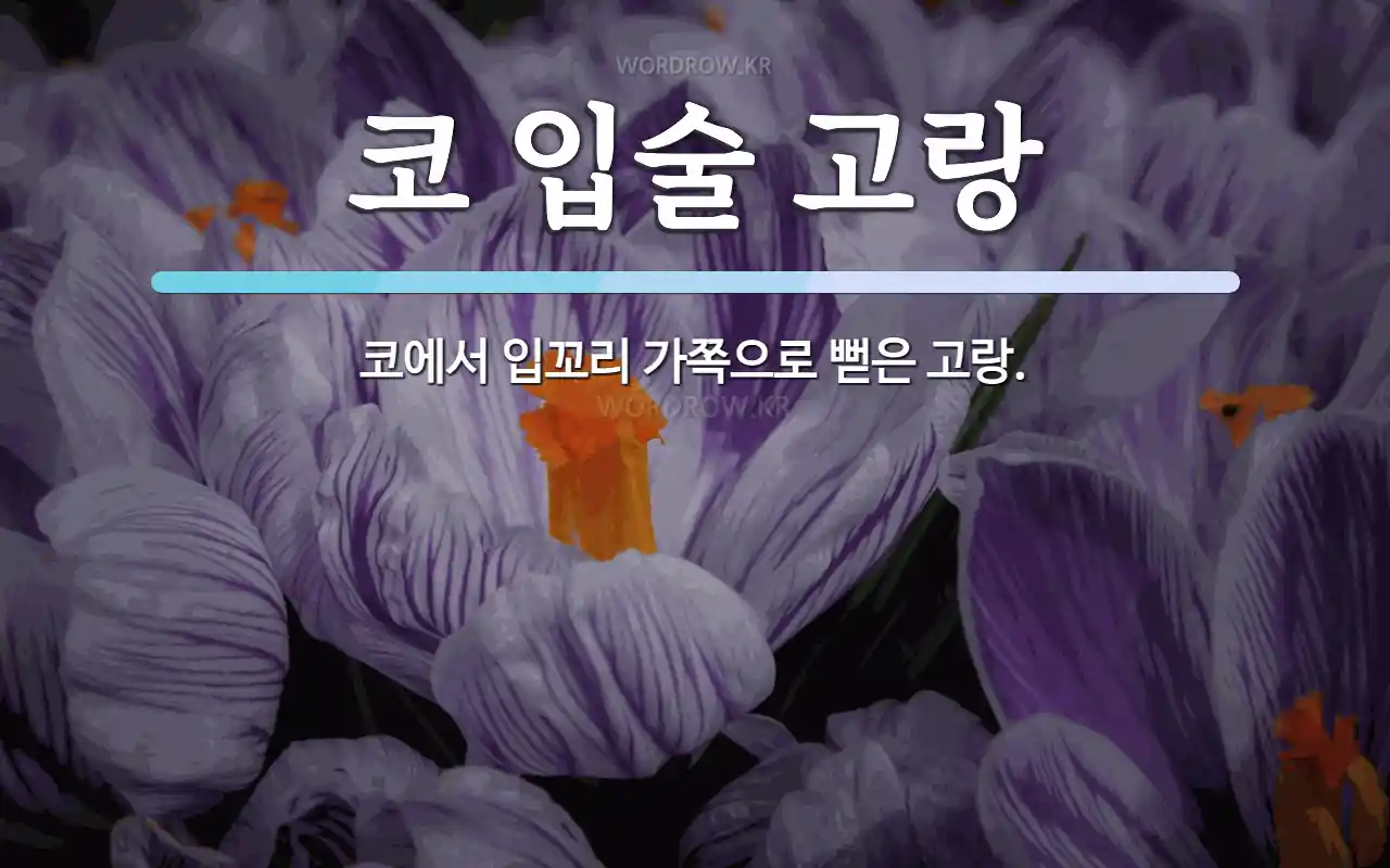 코 입술 고랑 뜻 코에서 입꼬리 가쪽으로 뻗은 고랑