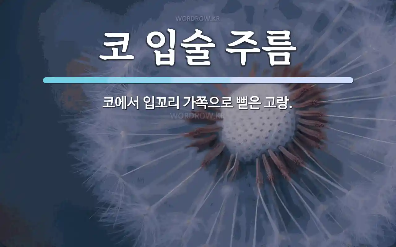 코 입술 주름 뜻 코에서 입꼬리 가쪽으로 뻗은 고랑