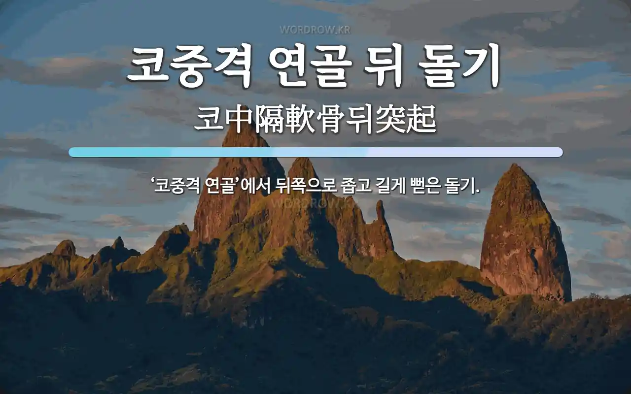 코중격 연골 뒤 돌기 뜻 ‘코중격 연골에서 뒤쪽으로 좁고 길게 뻗은 돌기