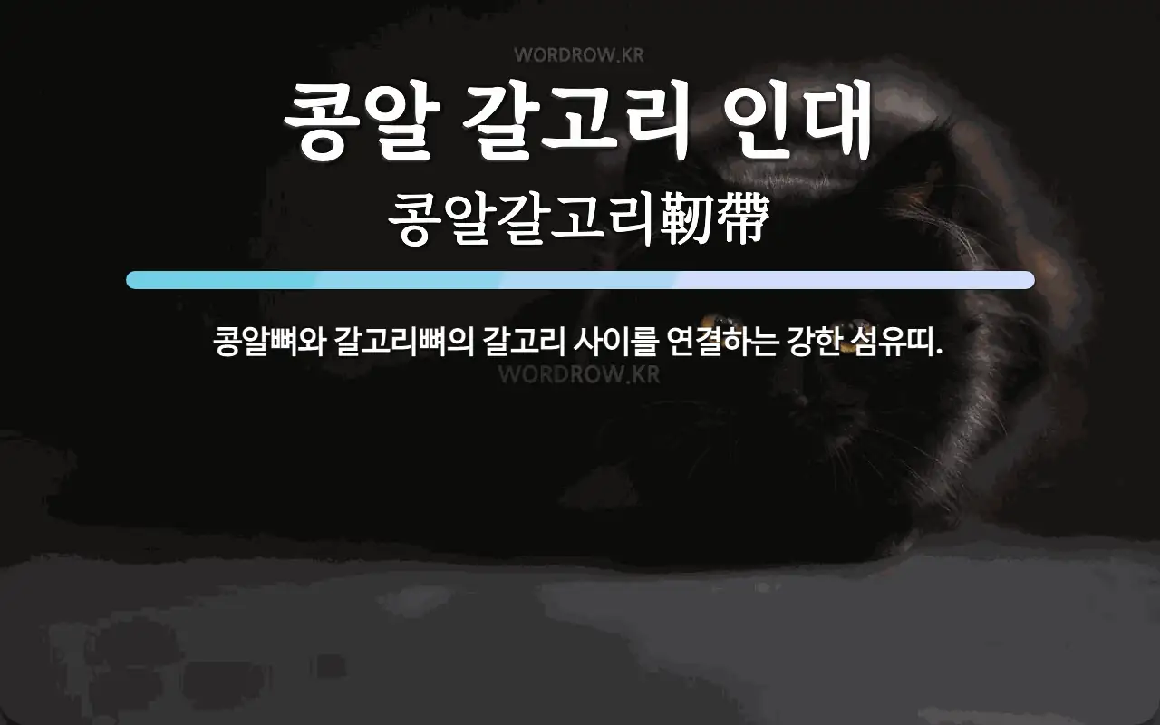 콩알 갈고리 인대 뜻 콩알뼈와 갈고리뼈의 갈고리 사이를 연결하는 강한 섬유띠