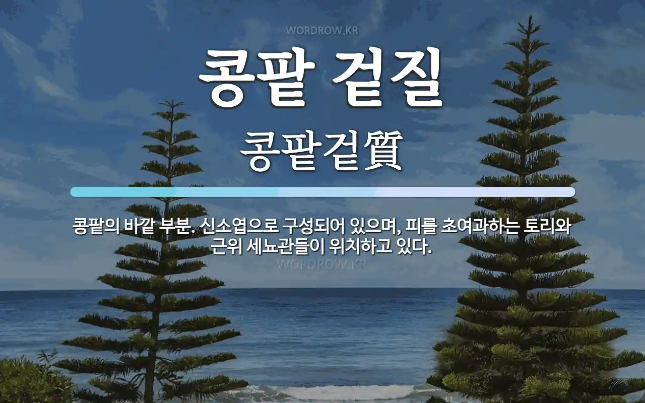 콩팥 겉질 뜻 콩팥의 바깥 부분 신소엽으로 구성되어 있으며 피를 초여과하는 토리와 근위 세뇨관들이 위