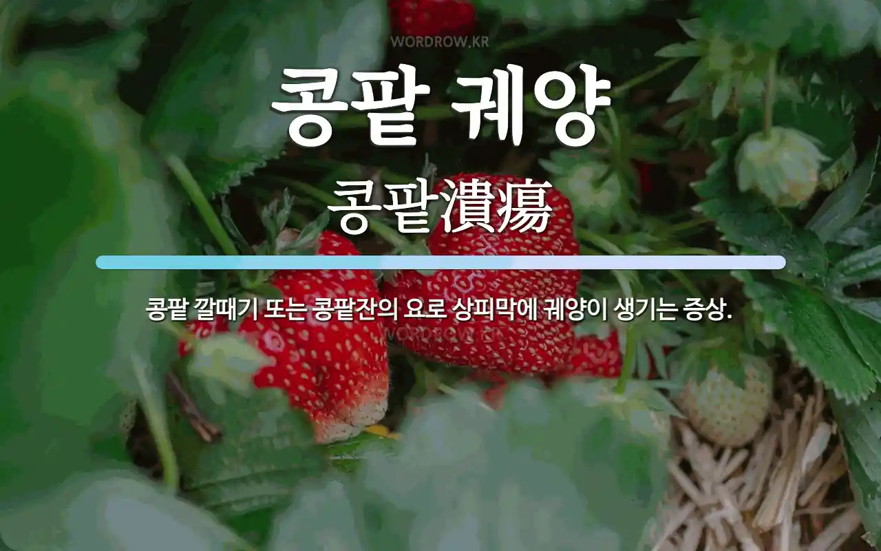 콩팥 궤양 뜻 콩팥 깔때기 또는 콩팥잔의 요로 상피막에 궤양이 생기는 증상
