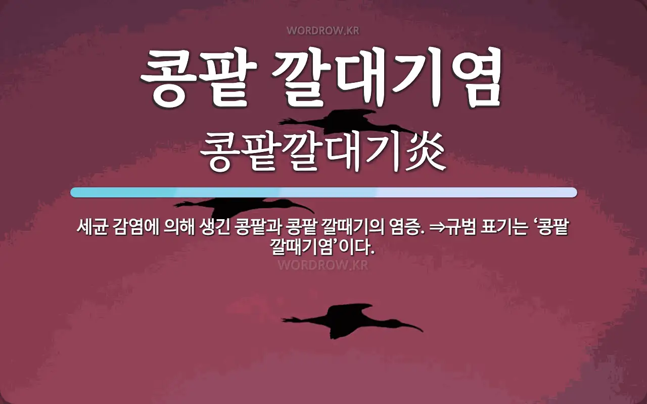 콩팥 깔대기염 뜻 세균 감염에 의해 생긴 콩팥과 콩팥 깔때기의 염증 ⇒규범 표기는 ‘콩팥 깔때기염이다