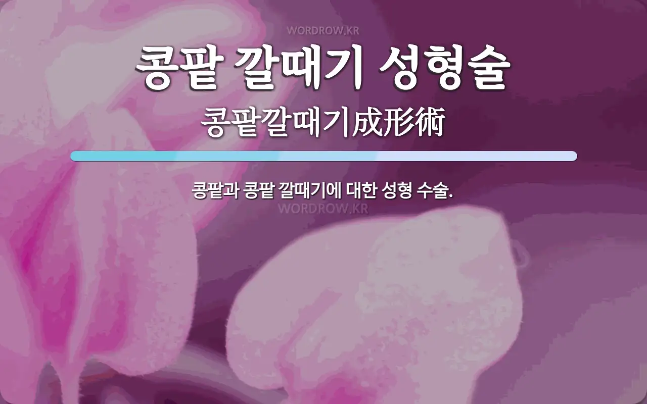 콩팥 깔때기 성형술 뜻 콩팥과 콩팥 깔때기에 대한 성형 수술