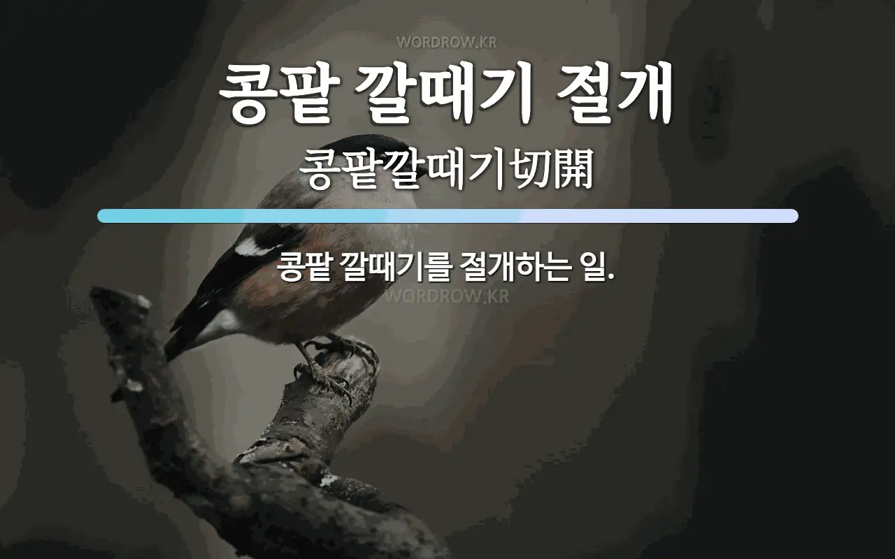 콩팥 깔때기 절개 뜻 콩팥 깔때기를 절개하는 일