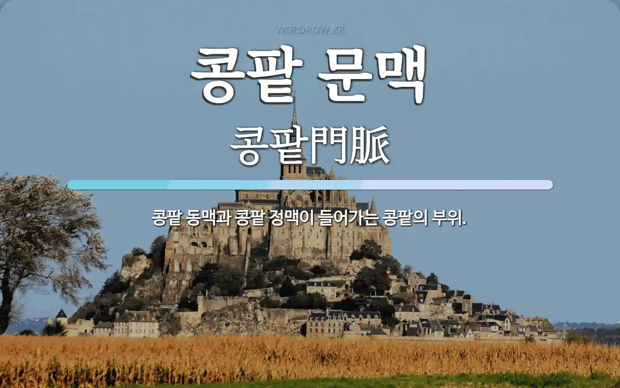 콩팥 문맥 뜻 콩팥 동맥과 콩팥 정맥이 들어가는 콩팥의 부위