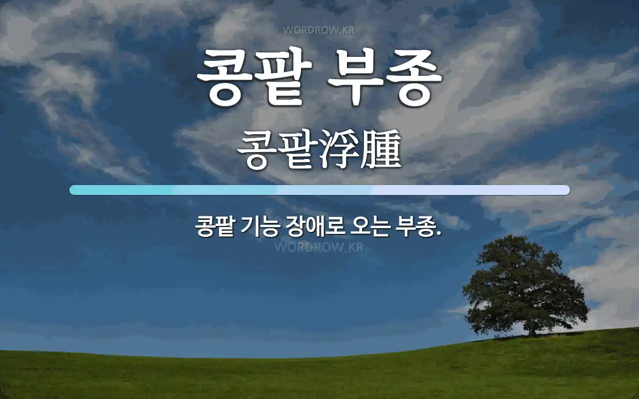 콩팥 부종 뜻 콩팥 기능 장애로 오는 부종