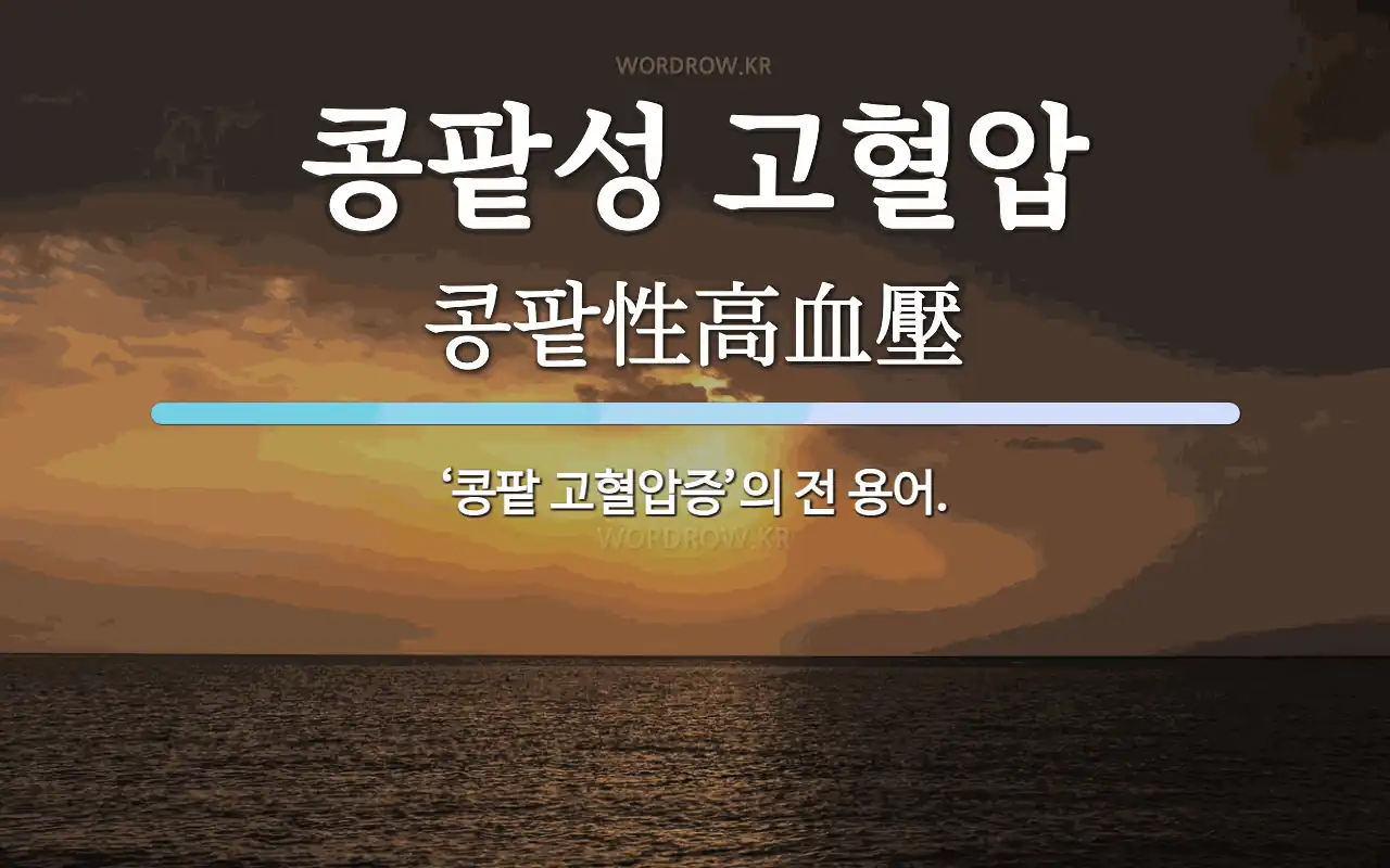 콩팥성 고혈압 뜻 ‘콩팥 고혈압증의 전 용어