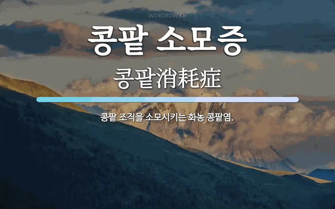 콩팥 소모증 뜻 콩팥 조직을 소모시키는 화농 콩팥염
