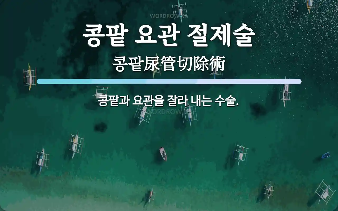 콩팥 요관 절제술 뜻 콩팥과 요관을 잘라 내는 수술