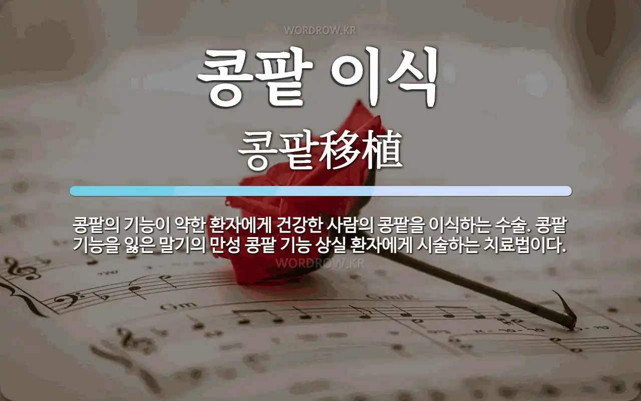 콩팥 이식 뜻 콩팥의 기능이 약한 환자에게 건강한 사람의 콩팥을 이식하는 수술 콩팥 기능을 잃은 말기의