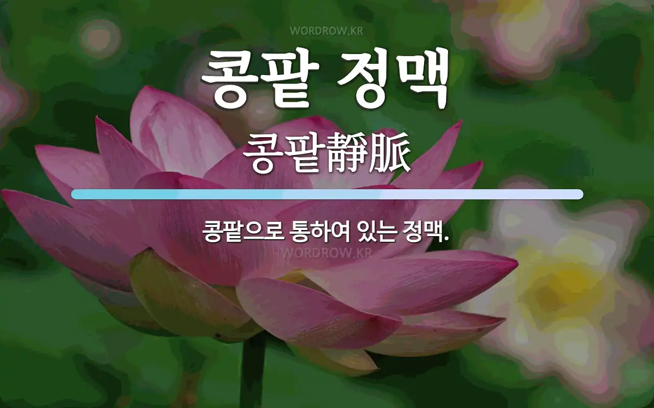 콩팥 정맥 뜻 콩팥으로 통하여 있는 정맥