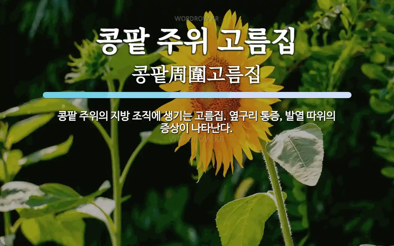 콩팥 주위 고름집 뜻 콩팥 주위의 지방 조직에 생기는 고름집 옆구리 통증 발열 따위의 증상이 나타난다