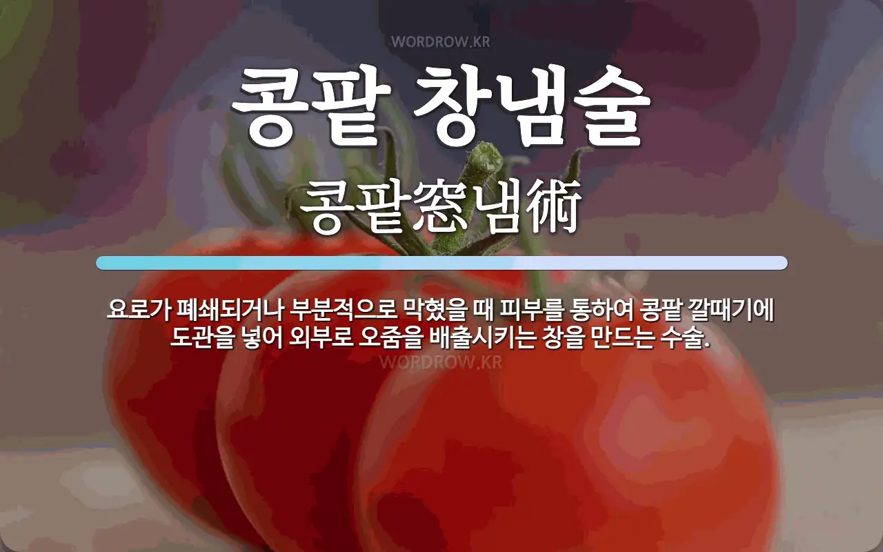 콩팥 창냄술 뜻 요로가 폐쇄되거나 부분적으로 막혔을 때 피부를 통하여 콩팥 깔때기에 도관을 넣어 외부로 오