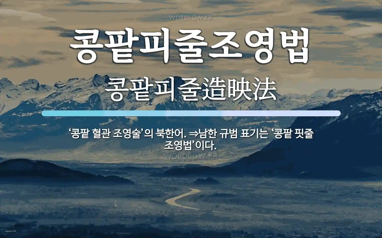 콩팥피줄조영법 뜻 ‘콩팥 혈관 조영술의 북한어 ⇒남한 규범 표기는 ‘콩팥 핏줄 조영법이다