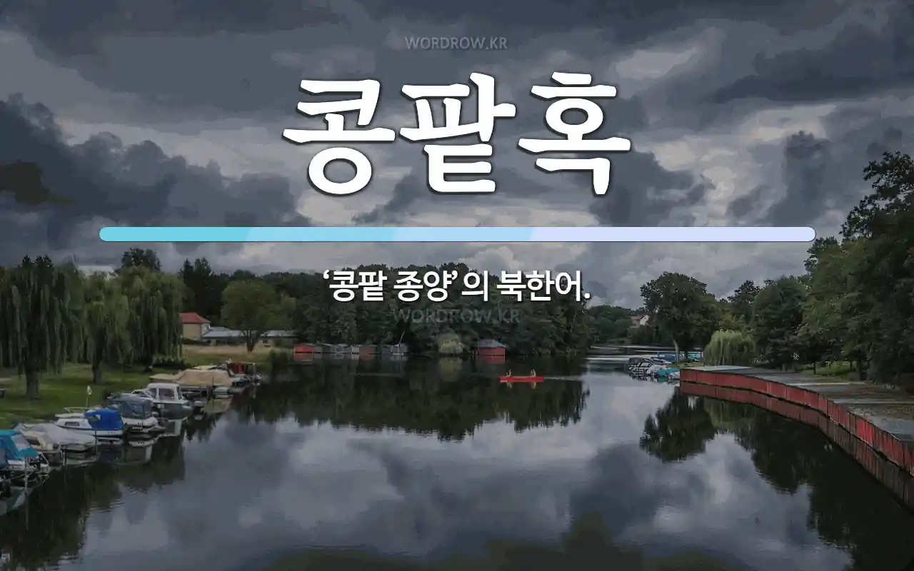콩팥혹 뜻 ‘콩팥 종양의 북한어