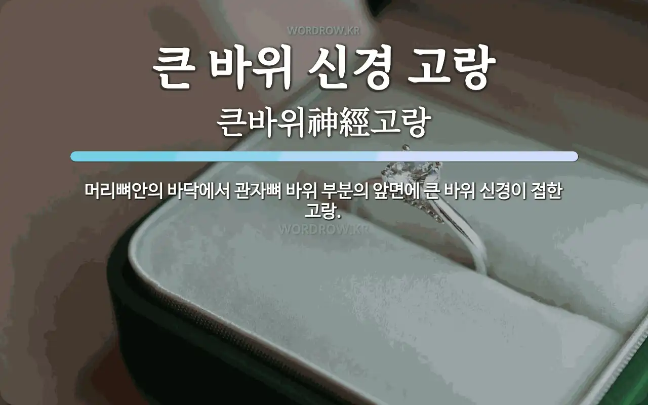 큰 바위 신경 고랑 뜻 머리뼈안의 바닥에서 관자뼈 바위 부분의 앞면에 큰 바위 신경이 접한 고랑