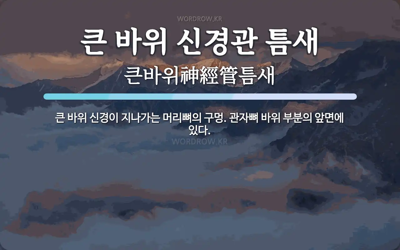 큰 바위 신경관 틈새 뜻 큰 바위 신경이 지나가는 머리뼈의 구멍 관자뼈 바위 부분의 앞면에 있다
